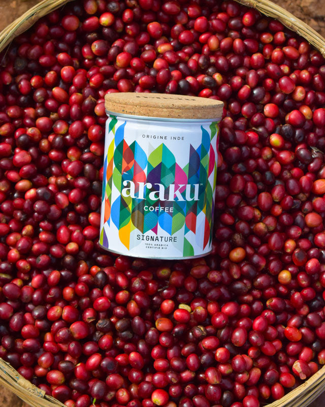 What is a Grand Cru coffee? - Araku Specialty Coffee
